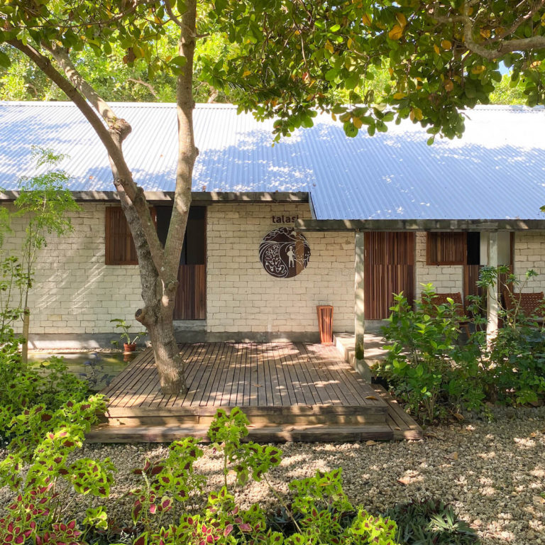 Visit & Explore Talasi Batukaru, Bali | Talasi