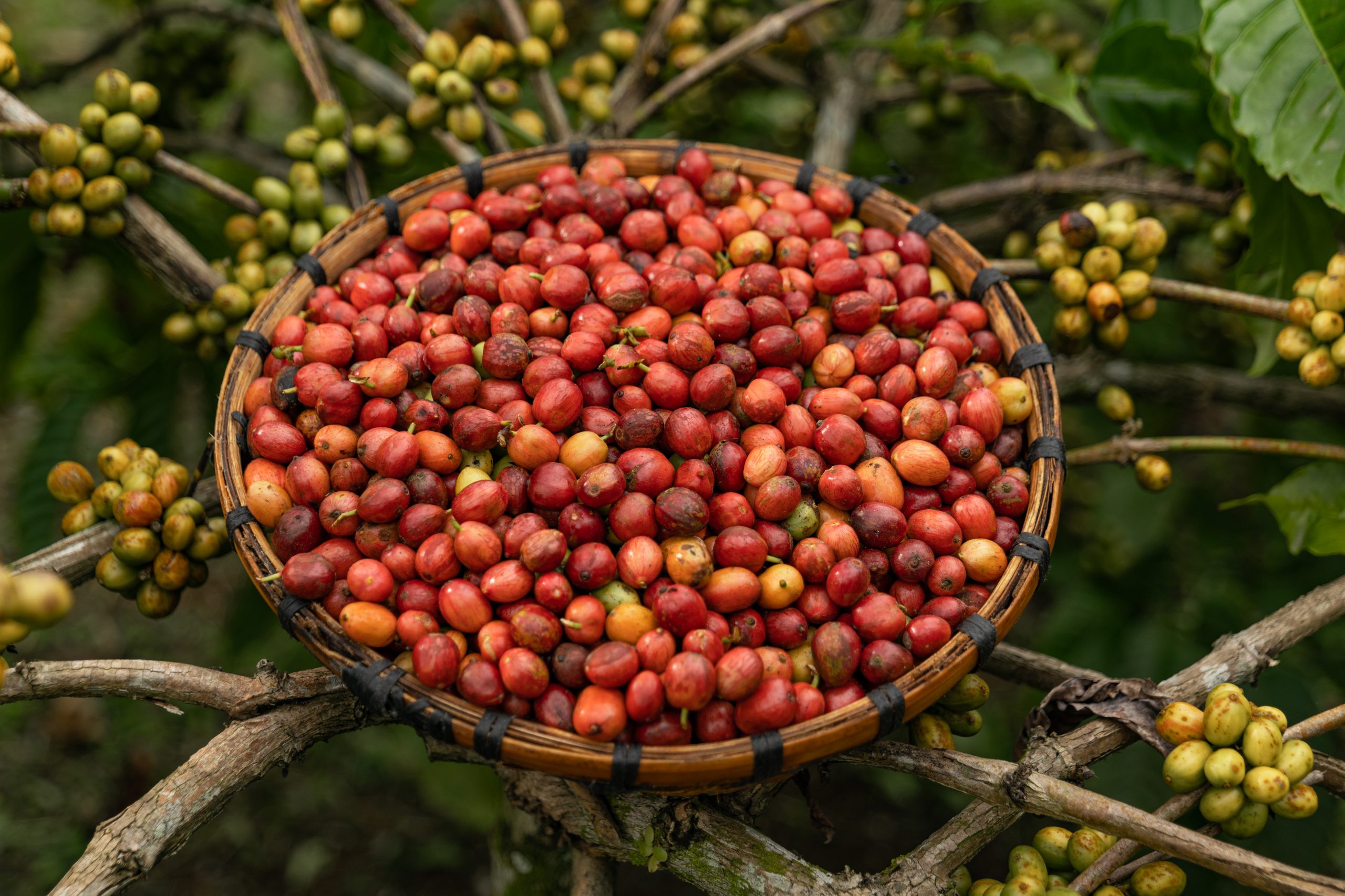 Talasi Stories | Talasi