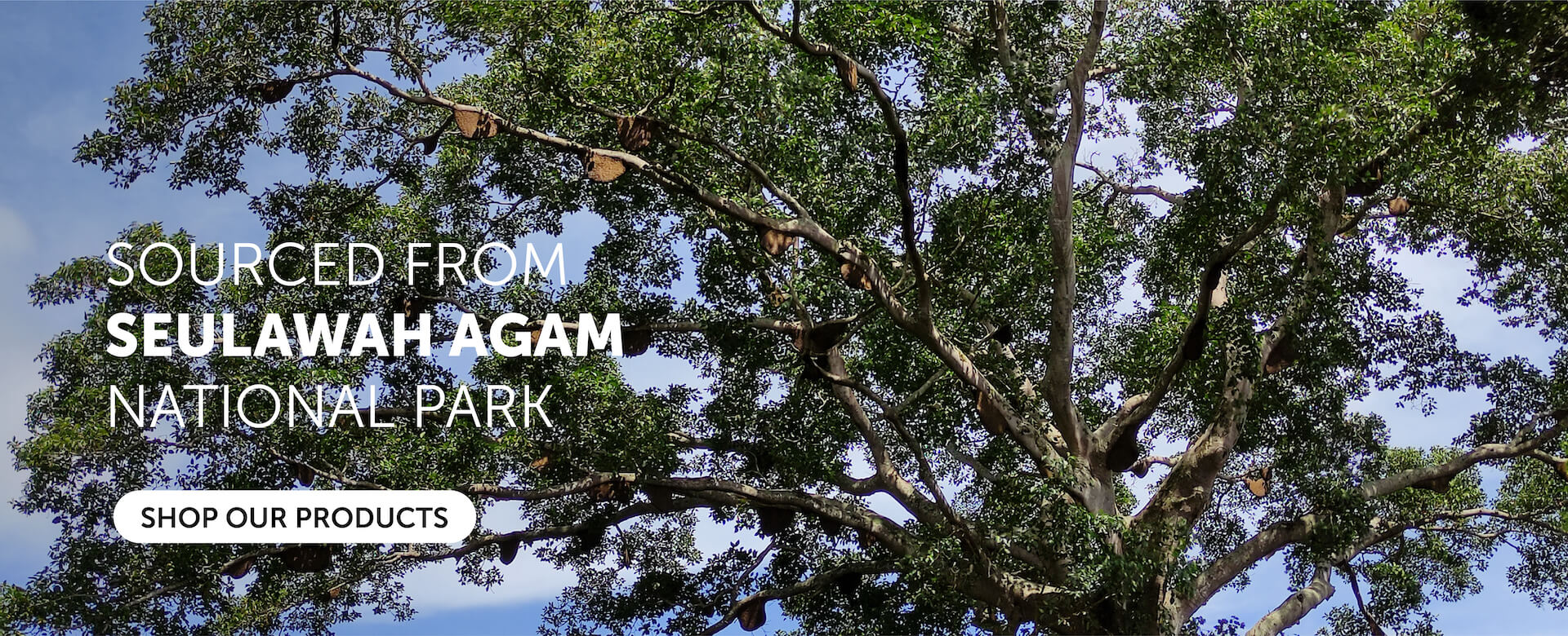 Organic Food | Natural Products | Healthy Living | Talasi